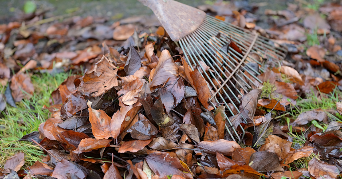 Chargeable garden waste collection service - Perth & Kinross Council